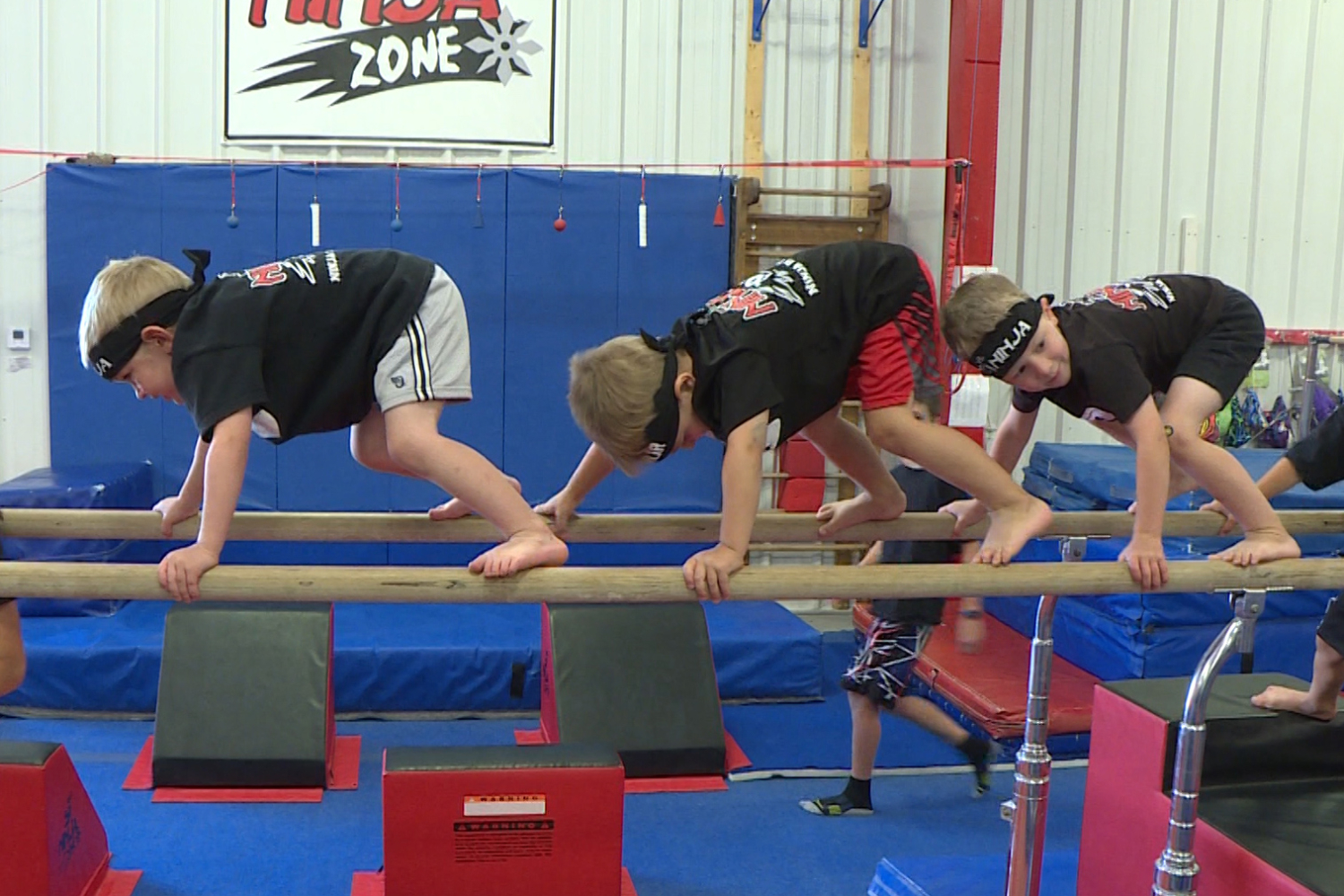 Gym Ninja - PAX Gymnastics and Gym Ninja